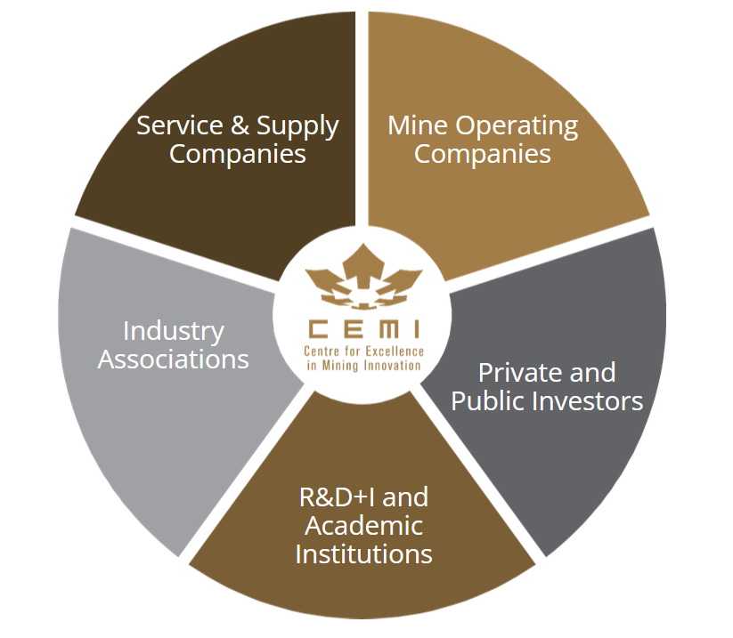 Innovation Collaborators - CEMI